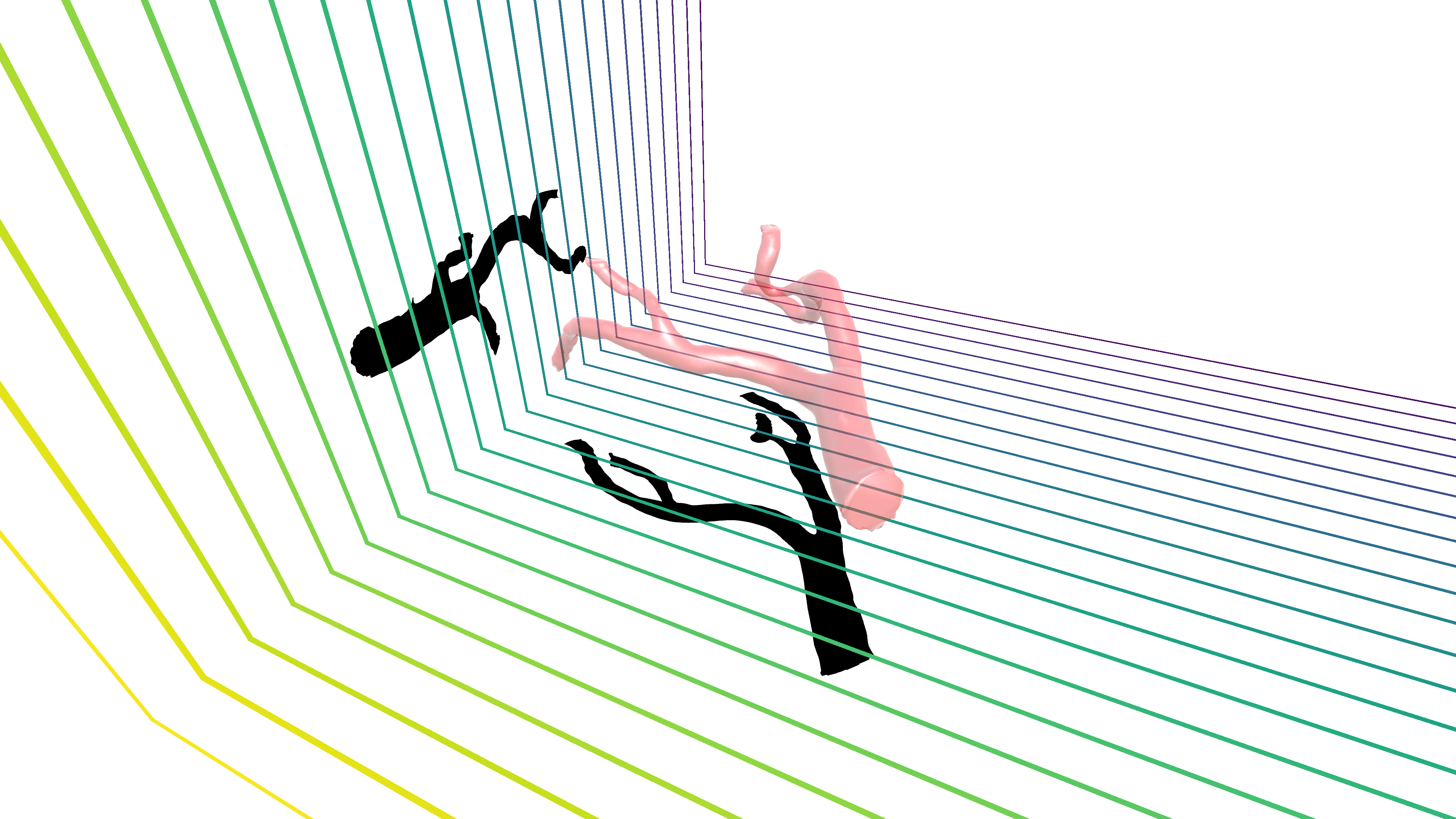 Felix Merkl | Vessel Visualizations